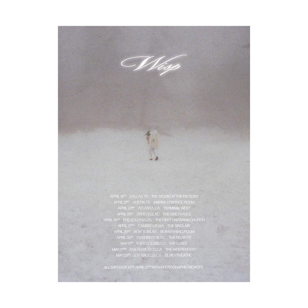 Pandora Tour Poster - Wisp Official Store